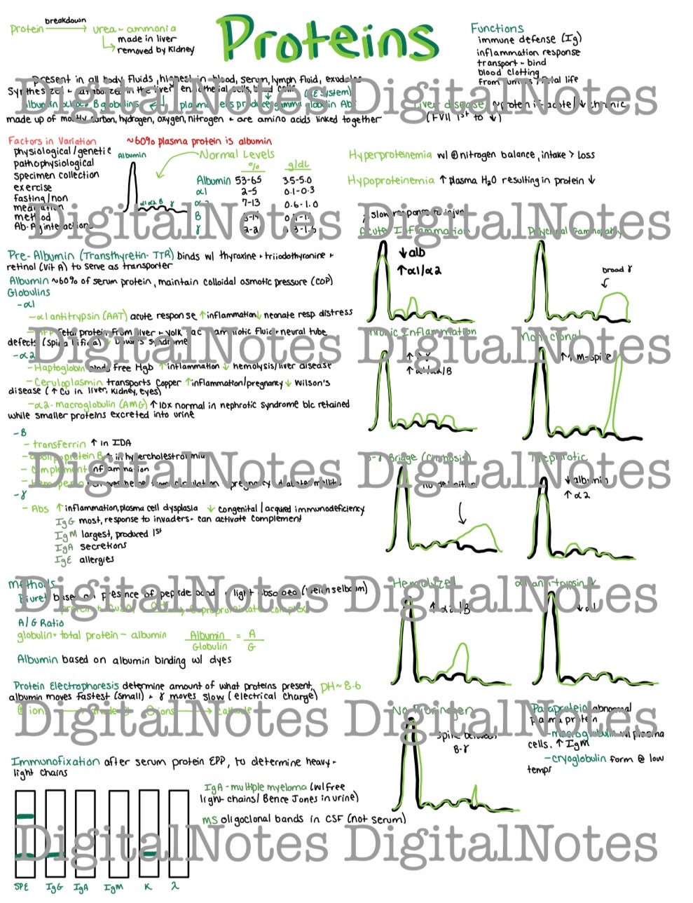 Medical Laboratory Science Chemistry Digital Notes - Etsy