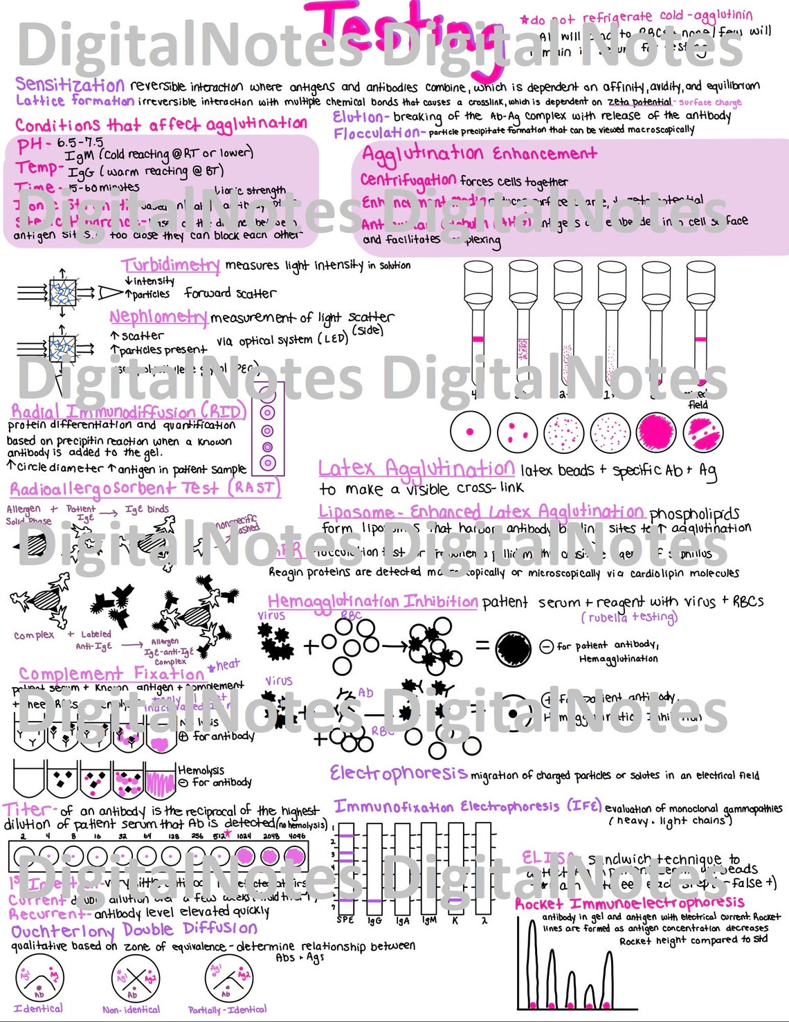 Medical Laboratory Science Serology/immunology Digital Notes - Etsy