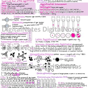 Medical Laboratory Science Serology/immunology Digital Notes - Etsy