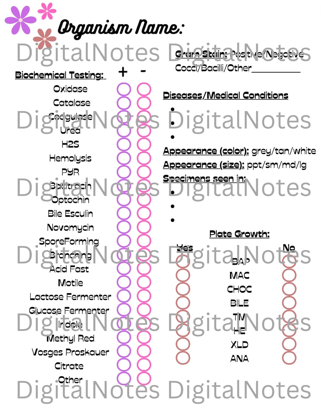 Medical Laboratory Science Microbiology Bacteria Outline - Etsy