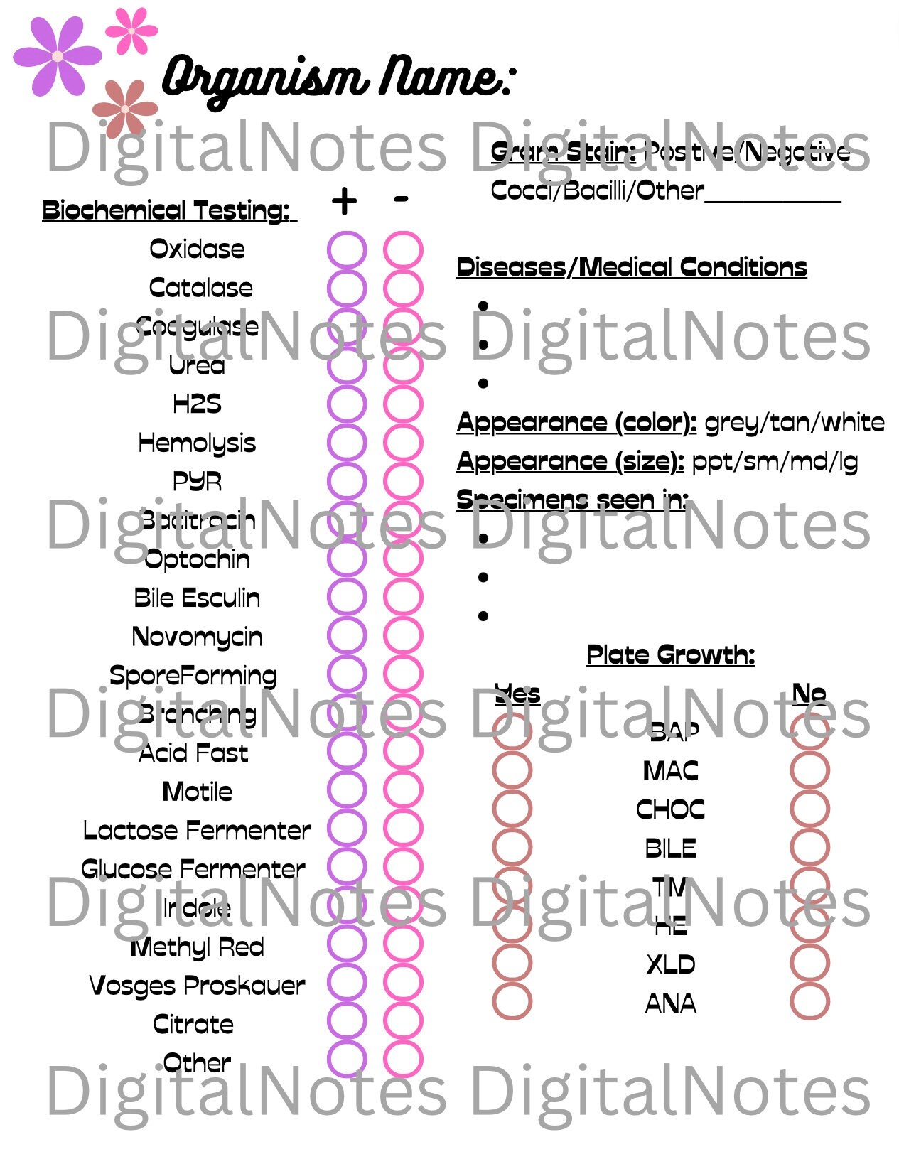 Medical Laboratory Science Microbiology Bacteria Outline - Etsy