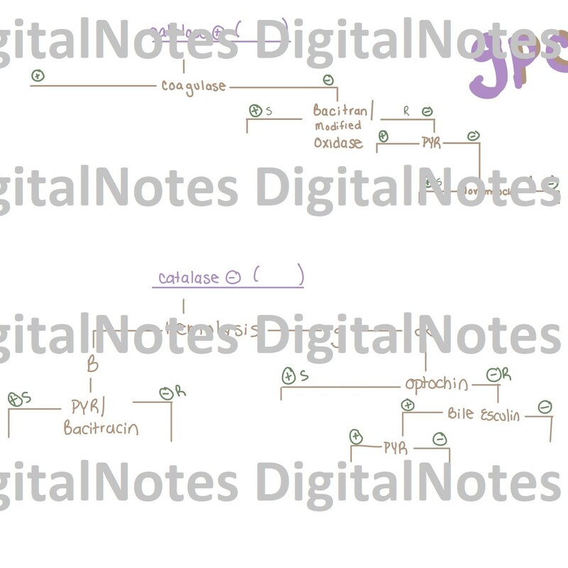 DigitalNotesnThings - Etsy