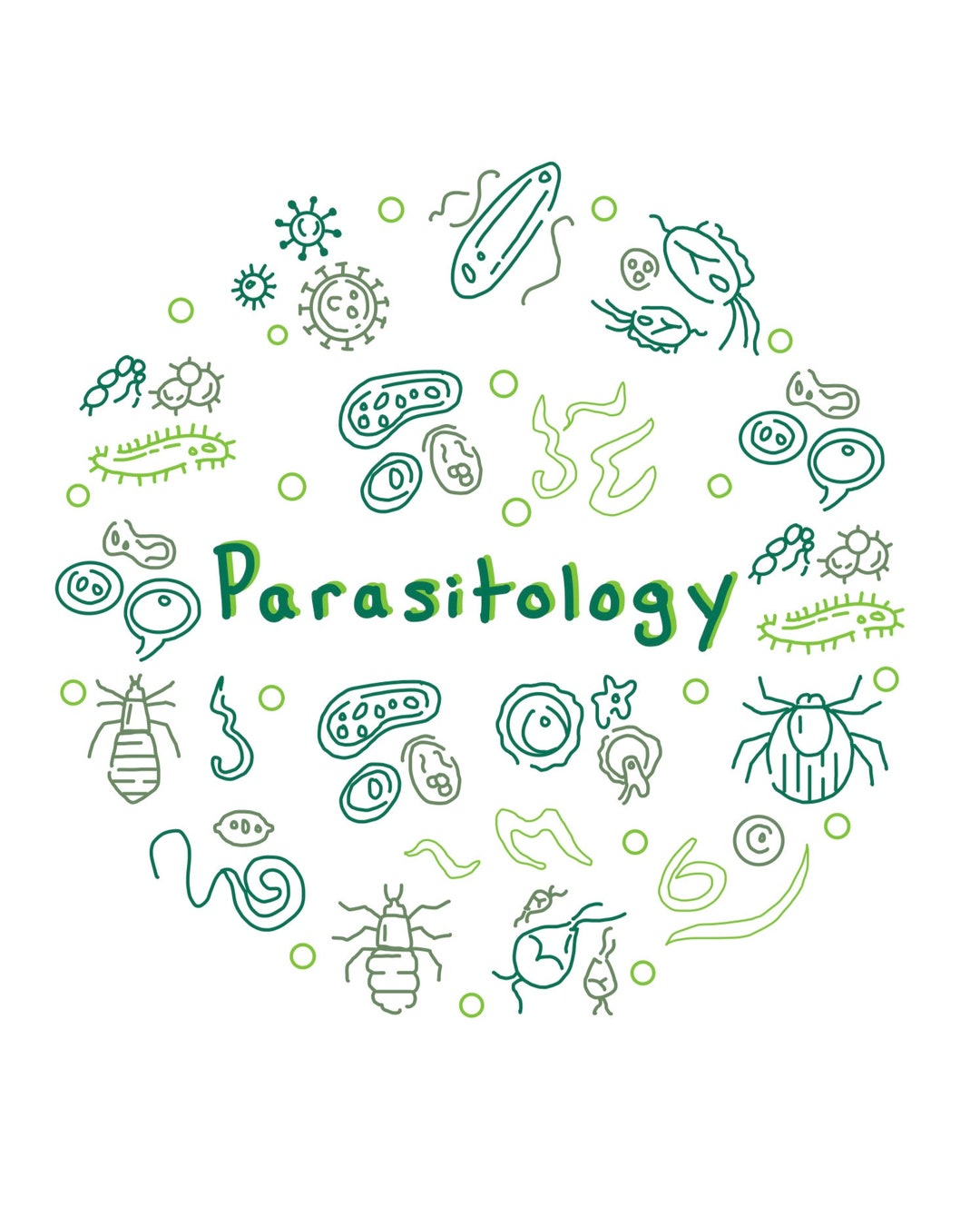 Medical Laboratory Science Parasitology Digital Notes - Etsy