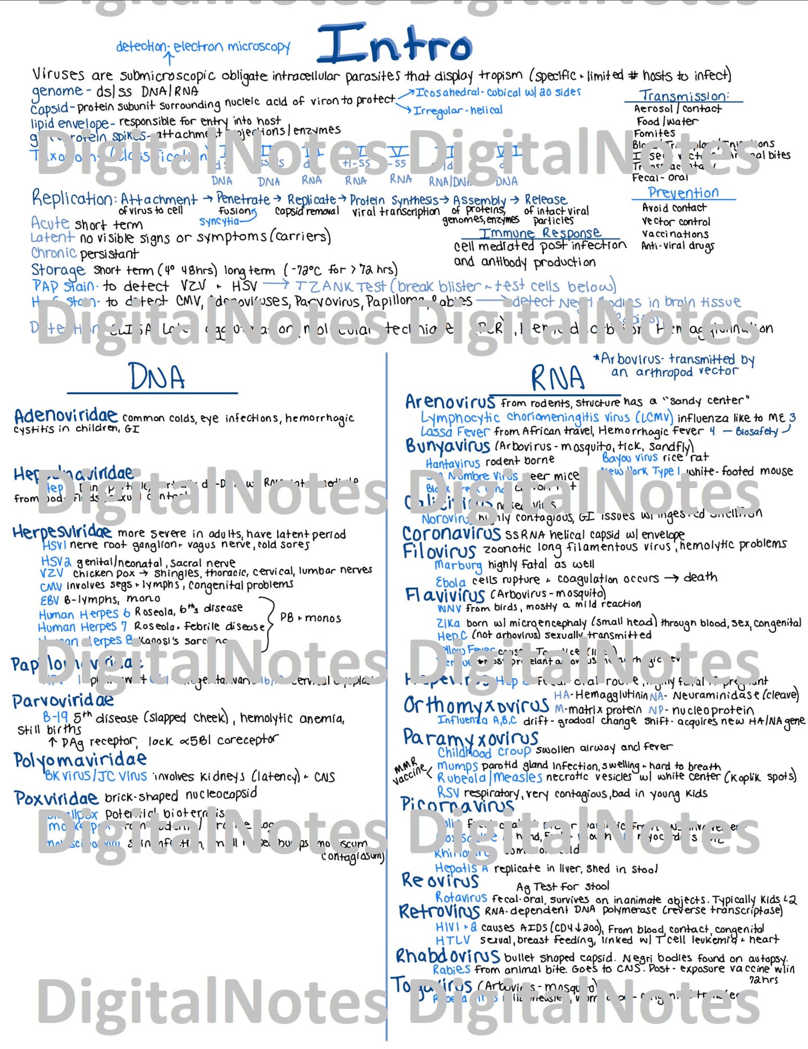 Medical Laboratory Science Virology Digital Notes - Etsy