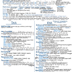 Medical Laboratory Science Virology Digital Notes - Etsy