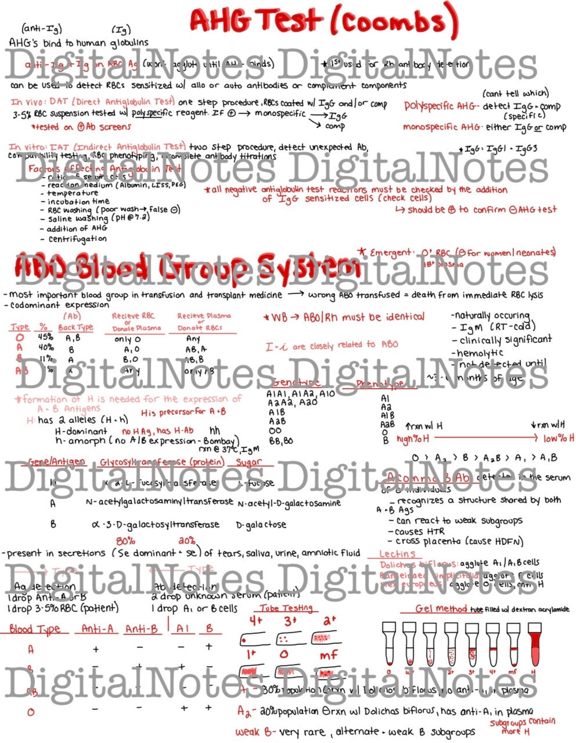 Medical Laboratory Science Blood Bank Digital Notes - Etsy