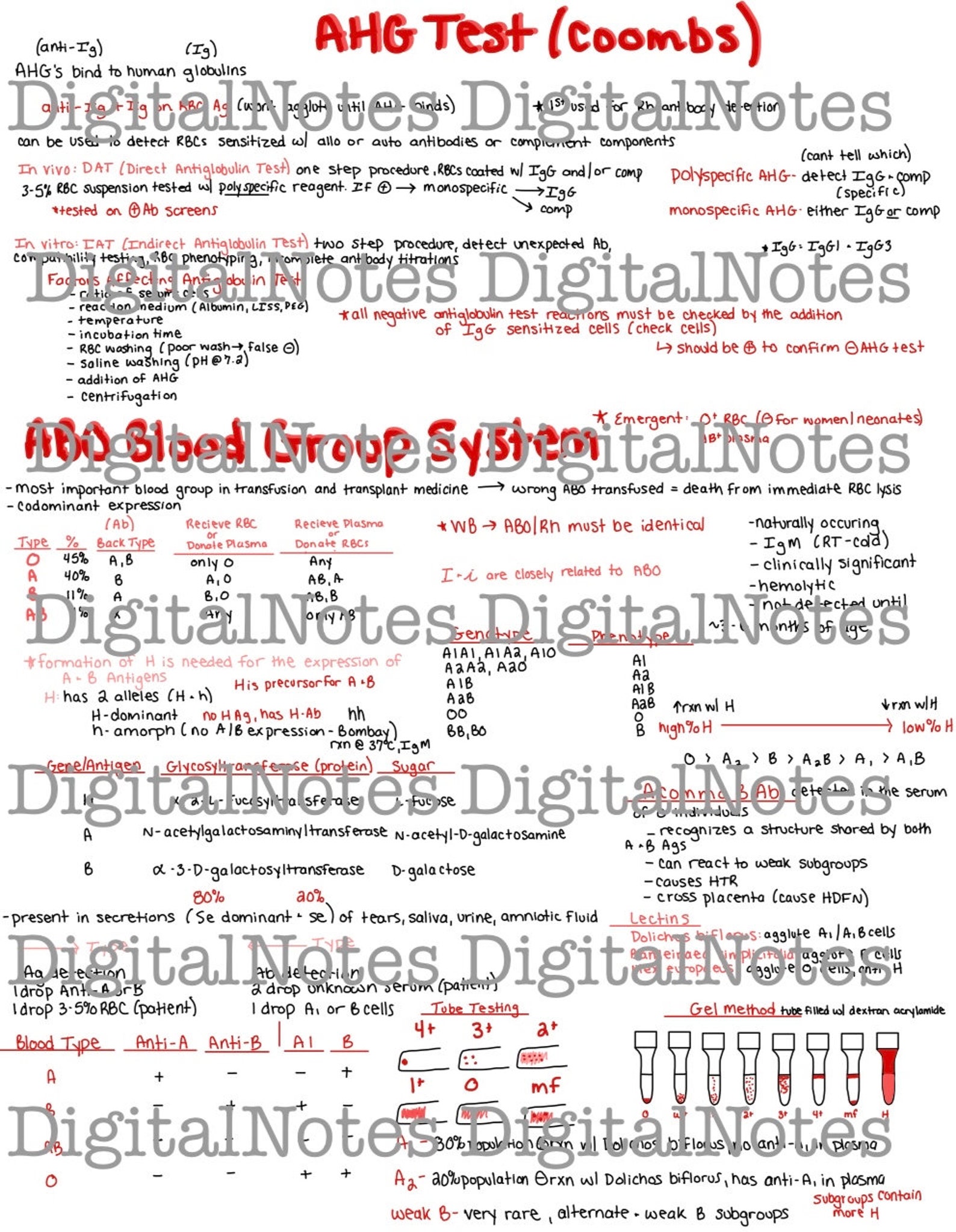 Medical Laboratory Science Blood Bank Digital Notes - Etsy