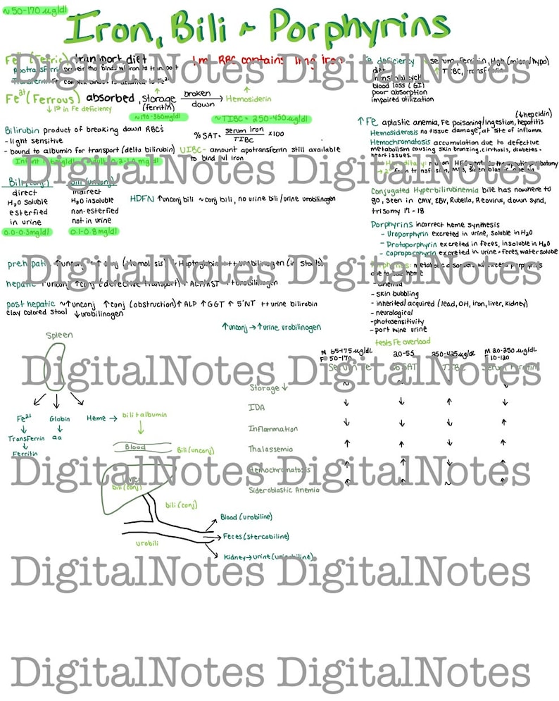 Medical Laboratory Science Chemistry Digital Notes - Etsy