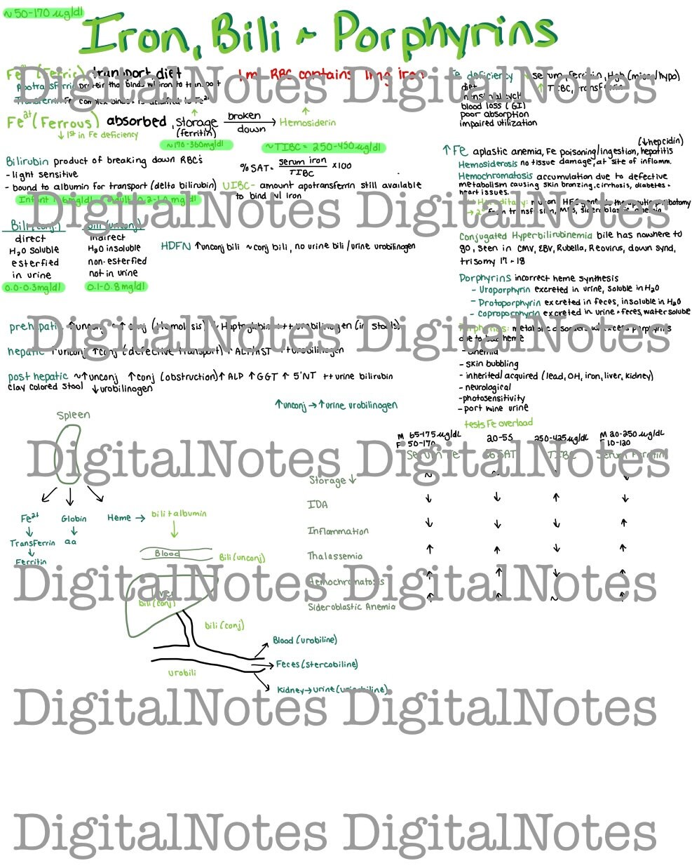 Medical Laboratory Science Chemistry Digital Notes - Etsy