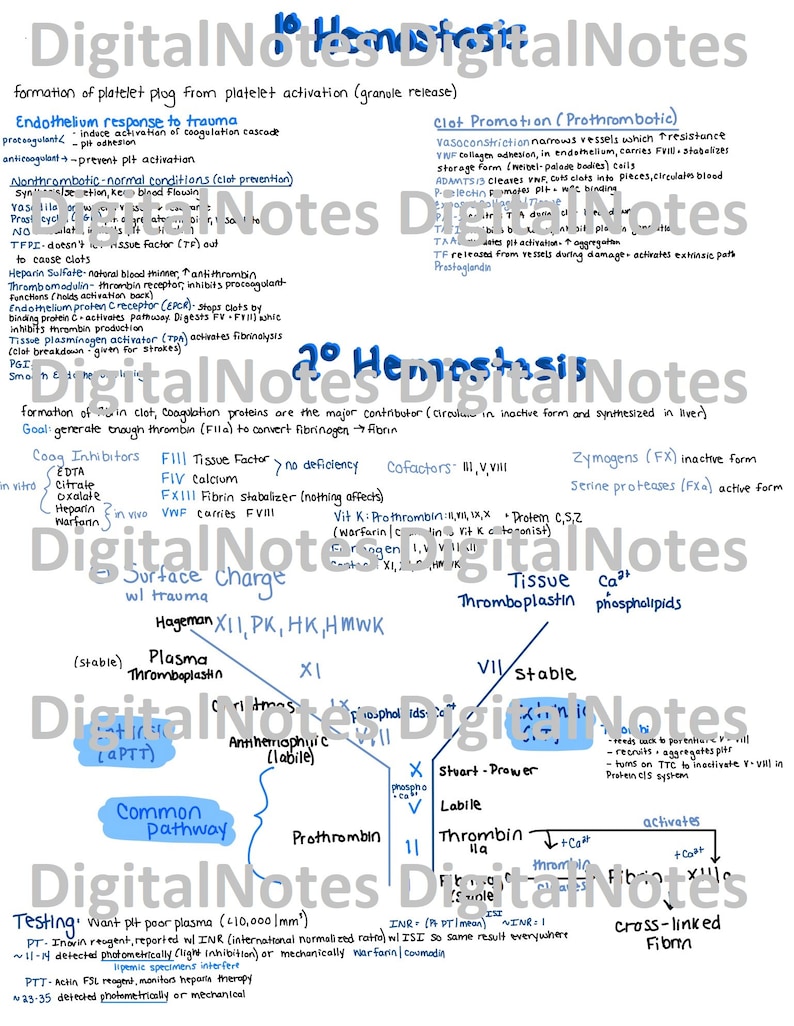 Medical Laboratory Science Coagulation Digital Notes - Etsy