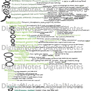 Medical Laboratory Science Parasitology Digital Notes - Etsy