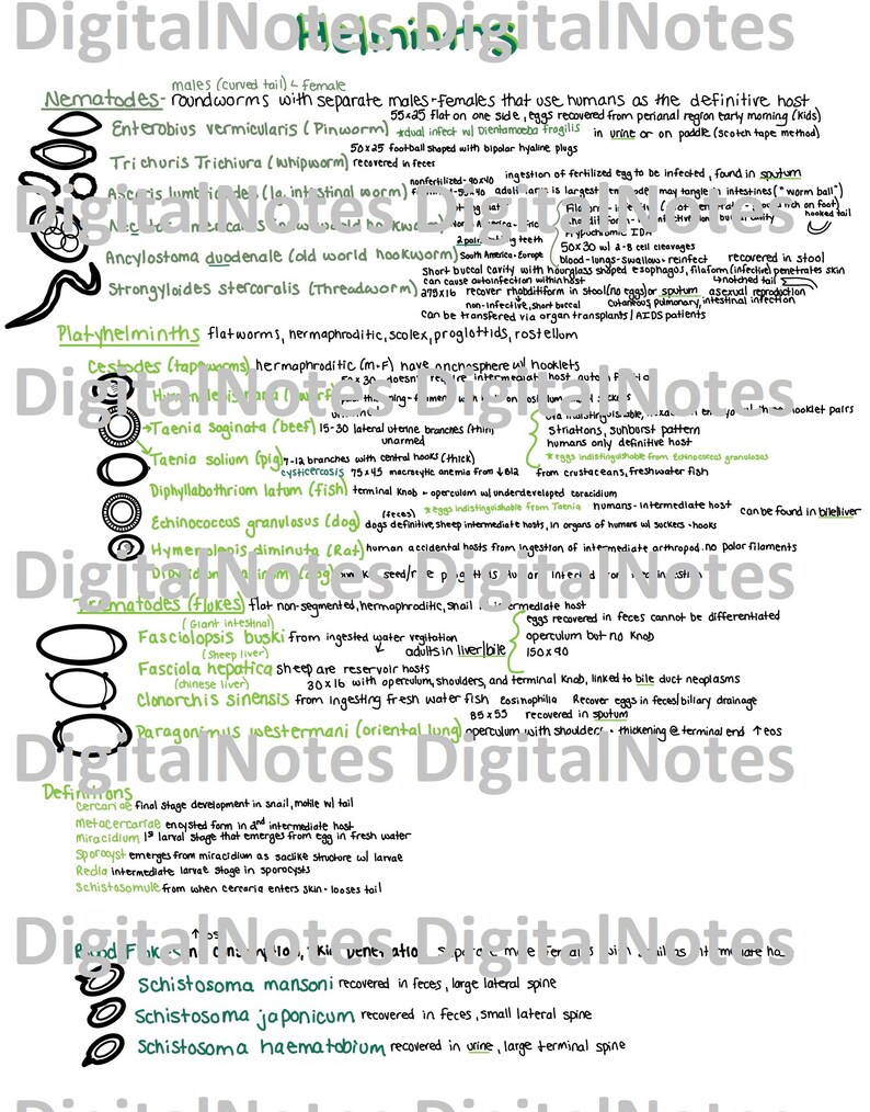 Medical Laboratory Science Parasitology Digital Notes - Etsy