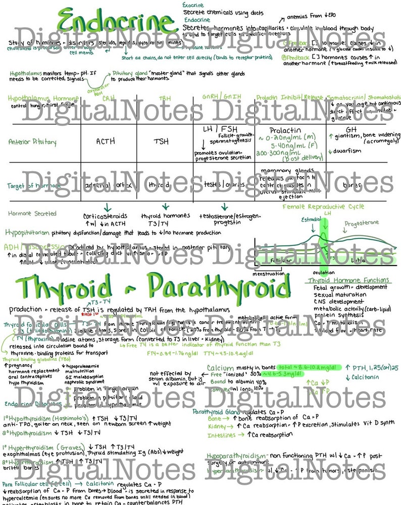 Medical Laboratory Science Chemistry Digital Notes - Etsy