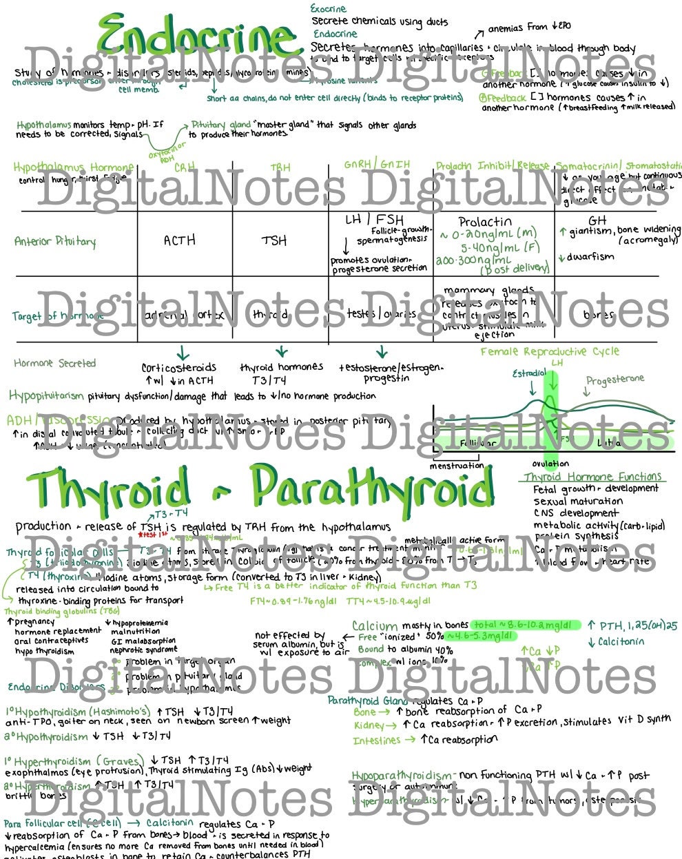Medical Laboratory Science Chemistry Digital Notes - Etsy