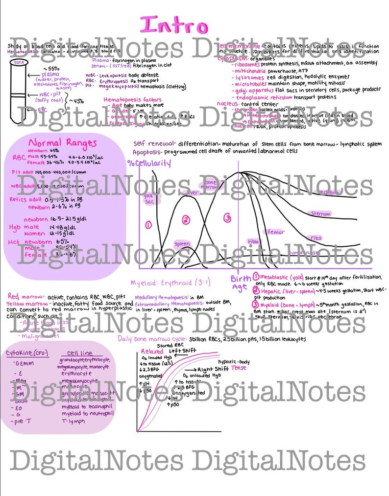 Medical Laboratory Science Hematology Digital Notes - Etsy