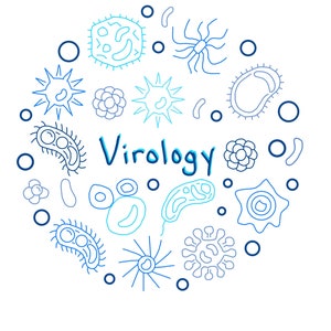 Medical Laboratory Science Virology Digital Notes - Etsy