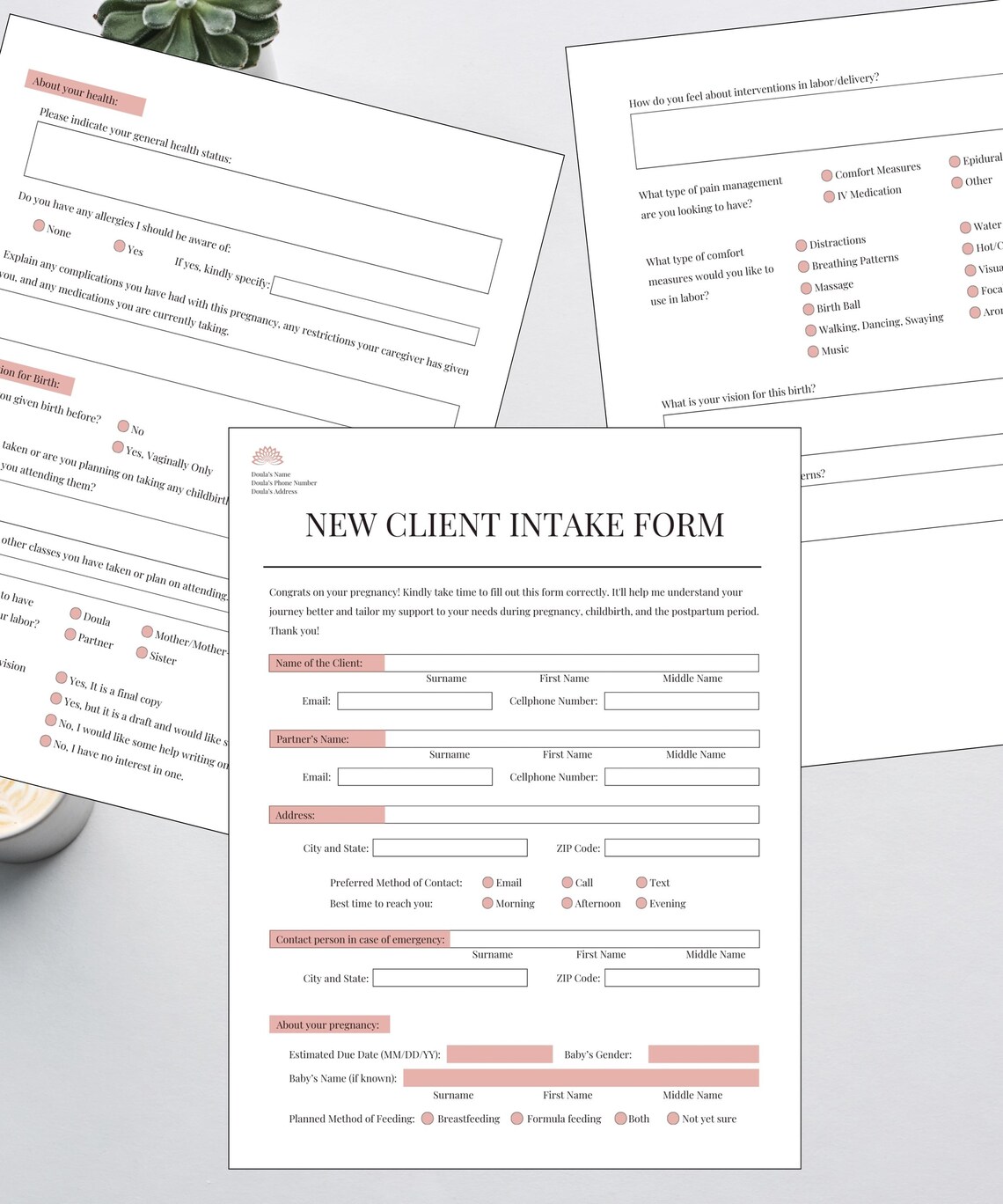 Doula Client Intake Form, New Client Form, Doula Handouts, New Client ...