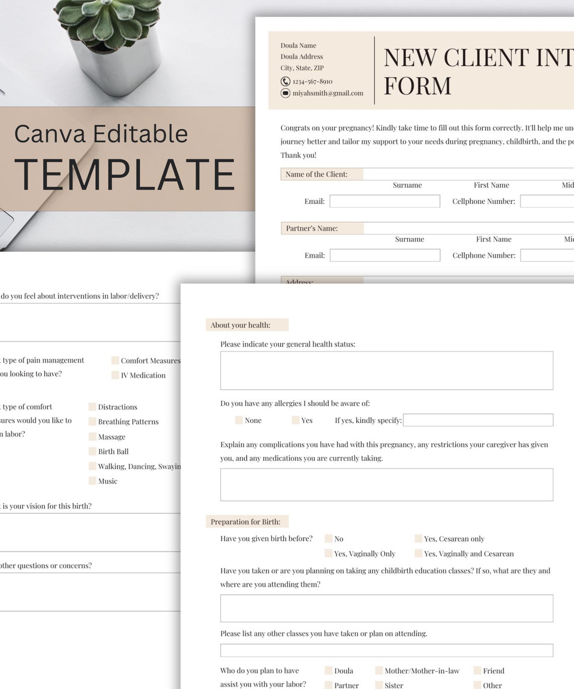 New Client Intake Form, Doula Intake Form, Business Documents, Business ...