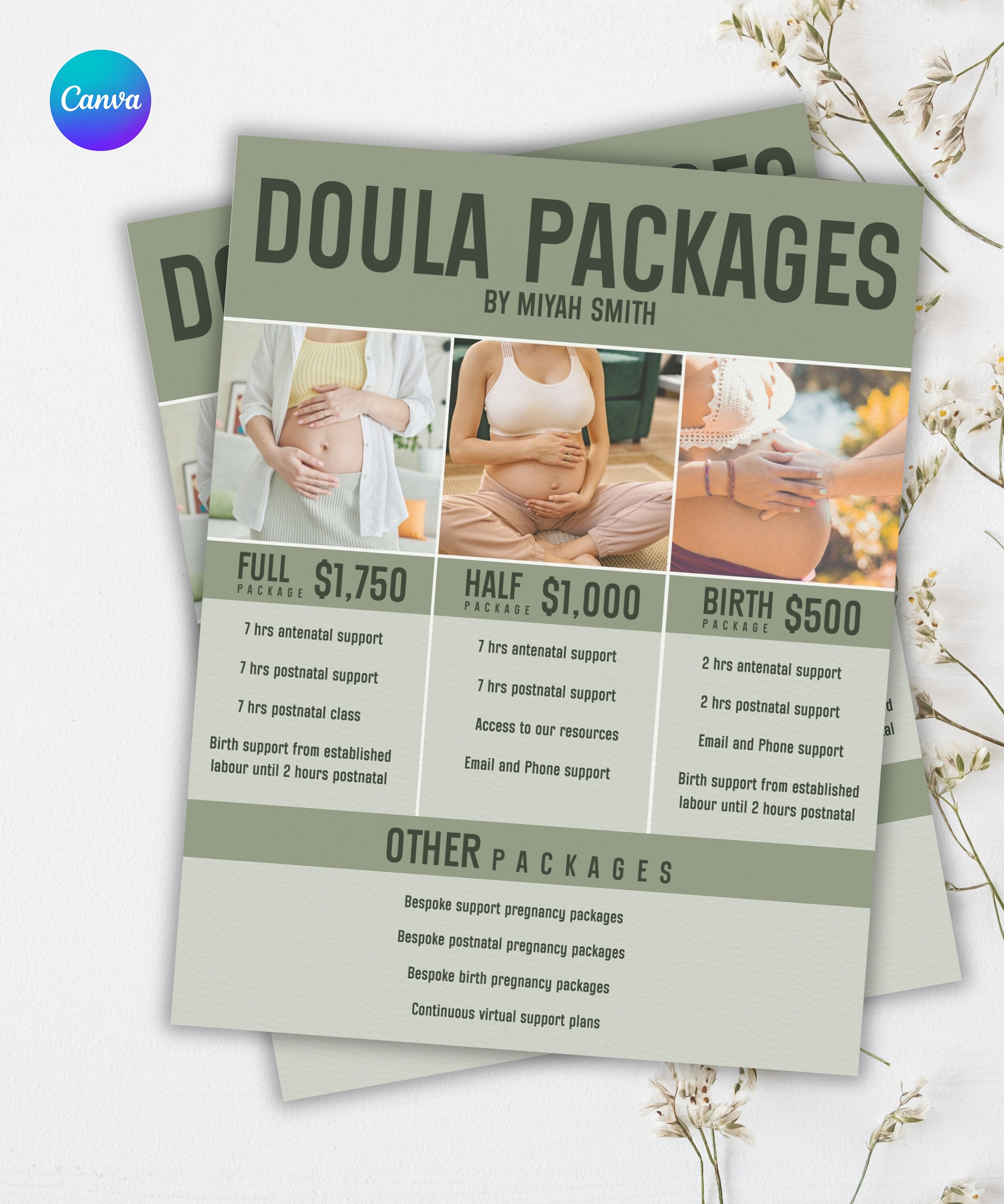 Editable Price List, Pricelist Template, Pricing Guide, Doula Business ...