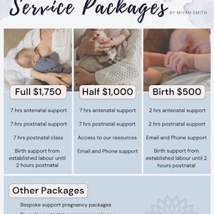 Editable Price List, Pricelist Template, Pricing Guide, Digital Price ...