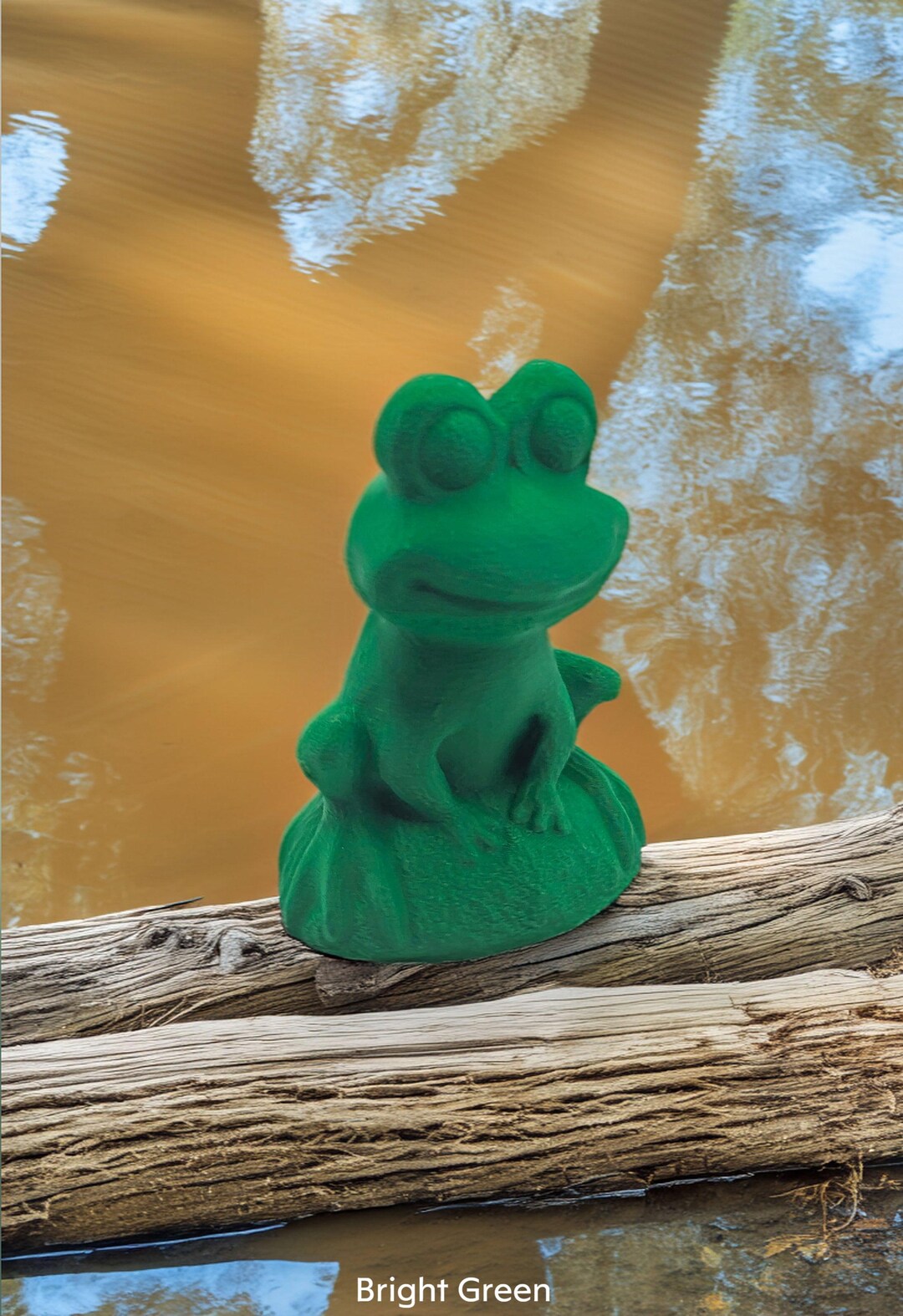 Happy Frog Geocache - Etsy