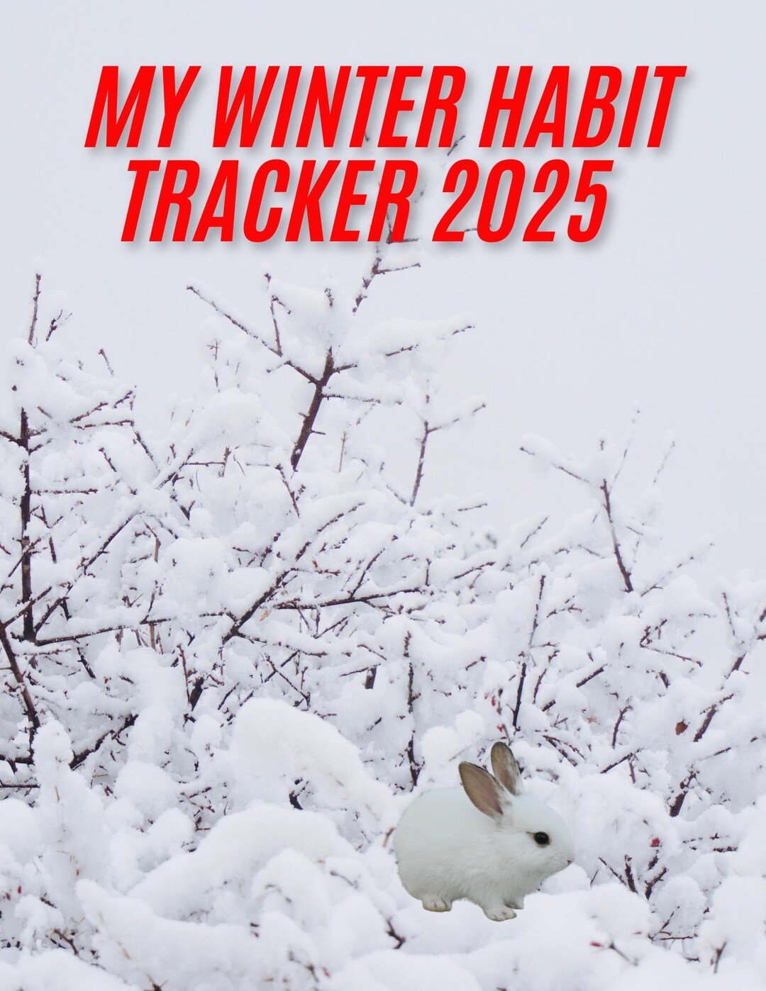 My Winter Habit Tracker - Etsy