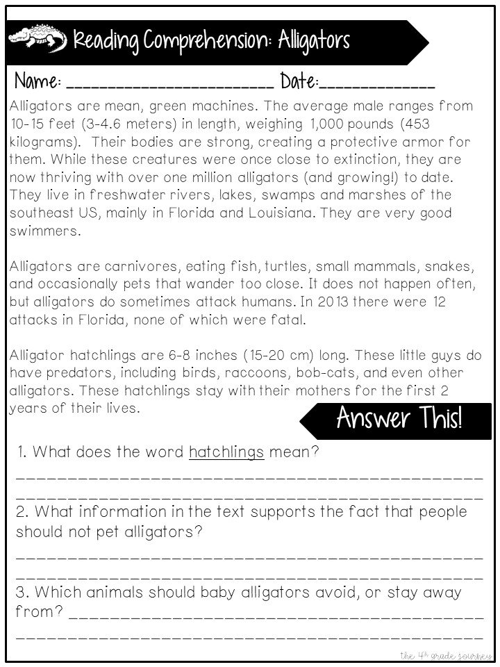 Reading Comprehension Passages Questions Task Cards INSTANT DOWNLOAD - Etsy