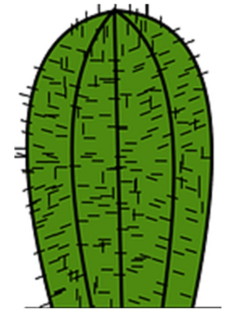 Keep Learning Keep Growing - Etsy