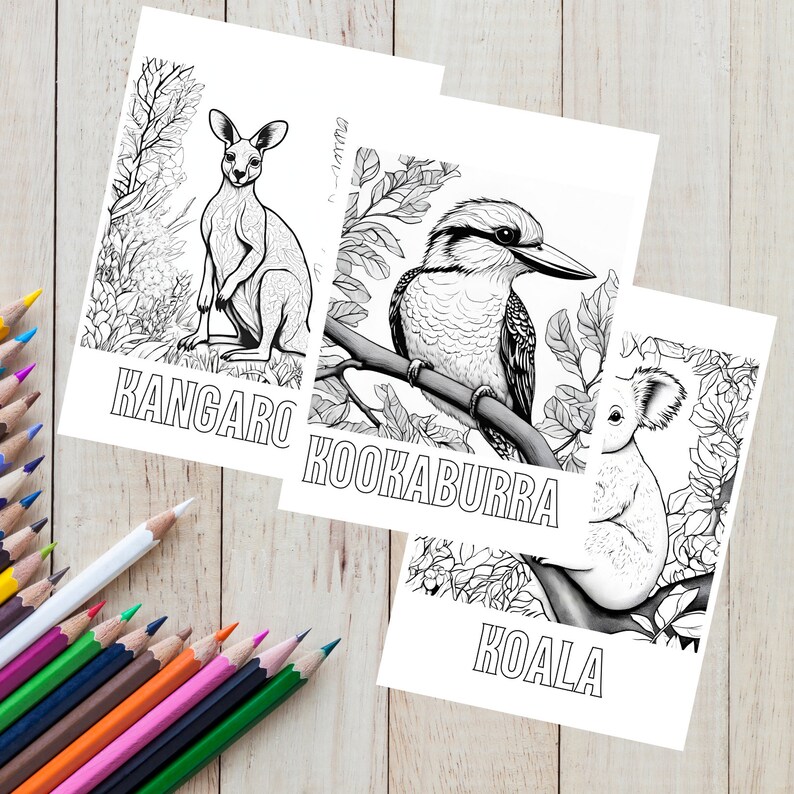 Australian Animals Bundle Colouring Pages, 10 Sheet Colouring Book for ...