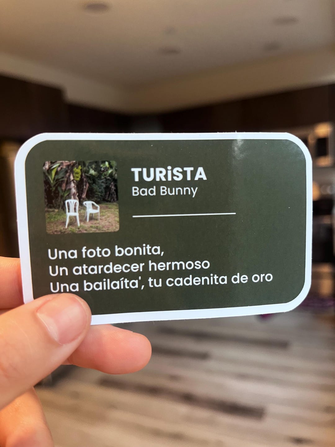 Turista Glossy Vinyl Sticker, Trendy Sticker, Aesthetic Sticker for ...