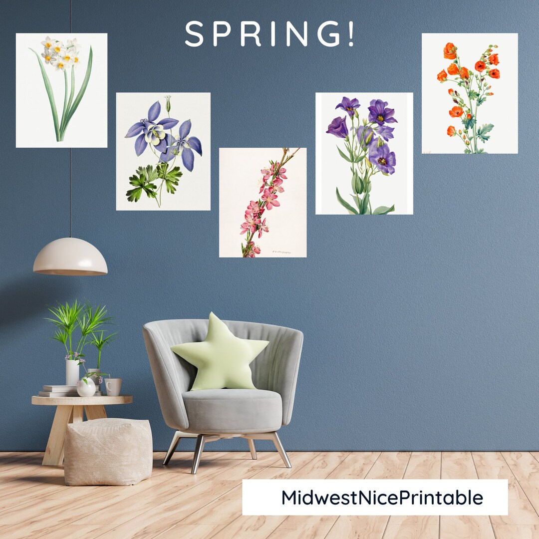 Summer Flower Gallery Decor. Floral Botanical Prints. Colorful Classic ...