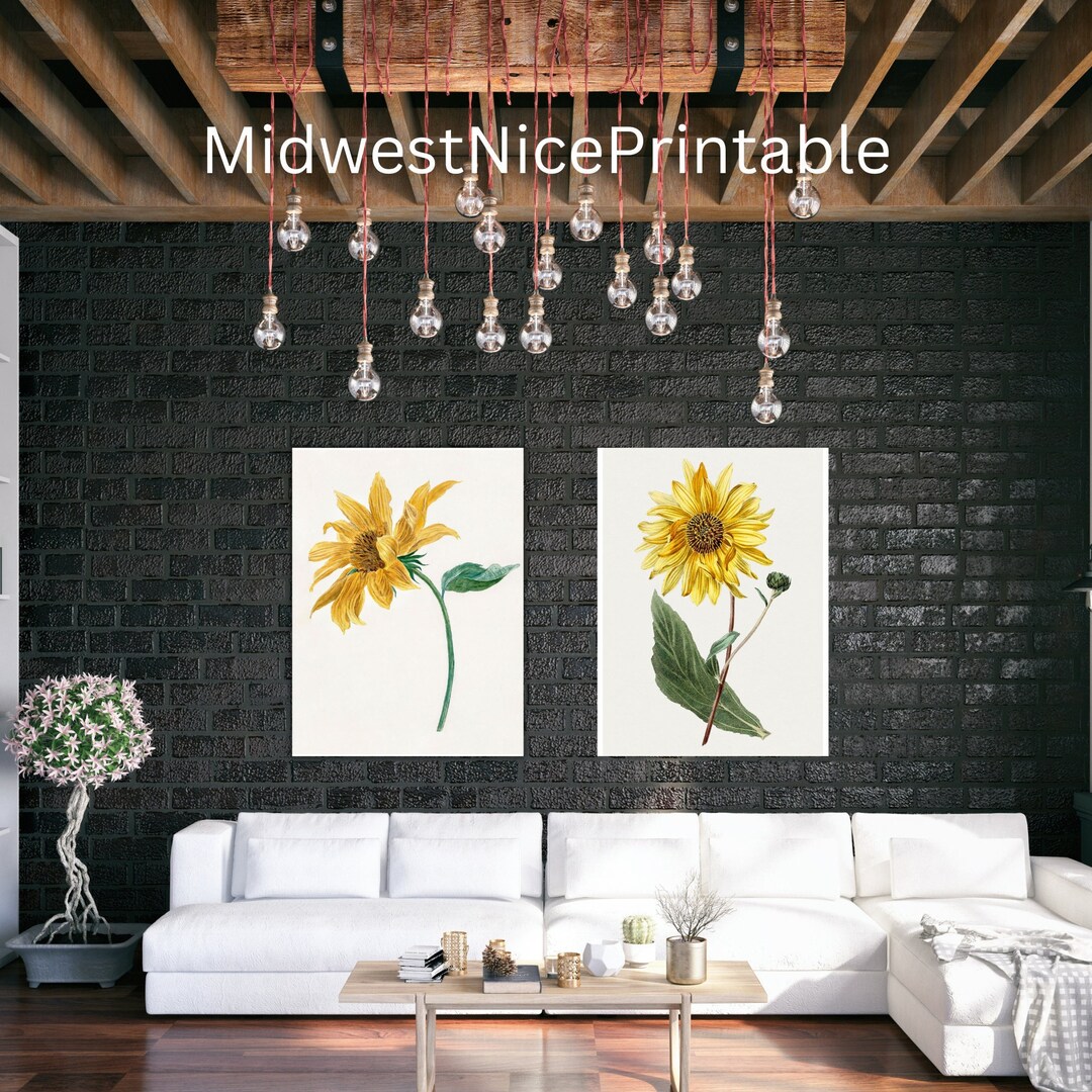 Yellow Sunflower Print Gallery. Vintage Flower Posters. Large Scale ...