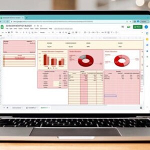 Adjustable 50/30/20 Budget Spreadsheet - Google Sheets / Microsoft ...