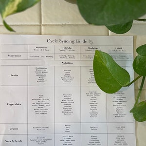 Cycle Syncing Health Guide for Hormone Harmony - Etsy
