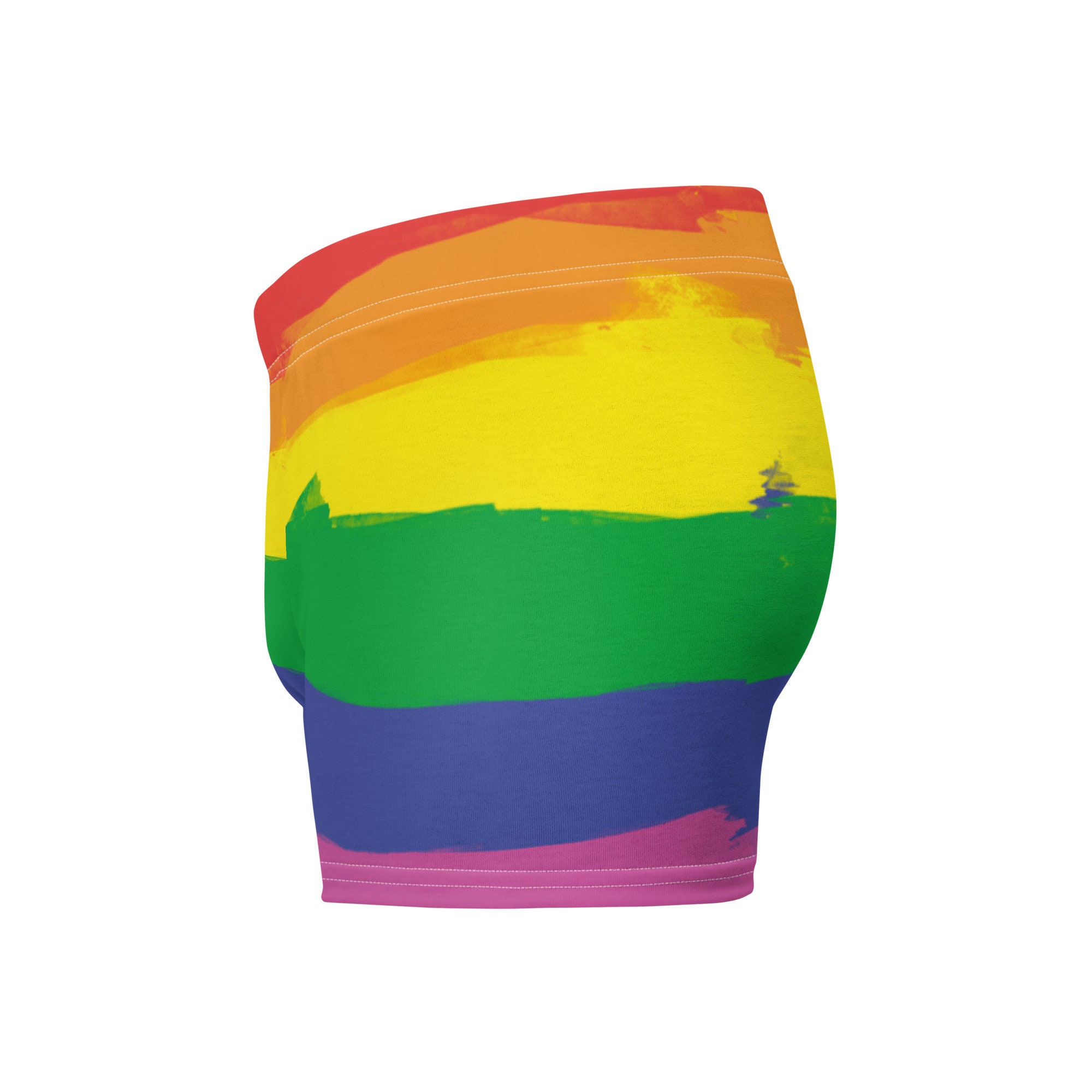 Men's Boxer Briefs, Rainbow Boxer Briefs, LGBTQI Underwear, Colorful ...