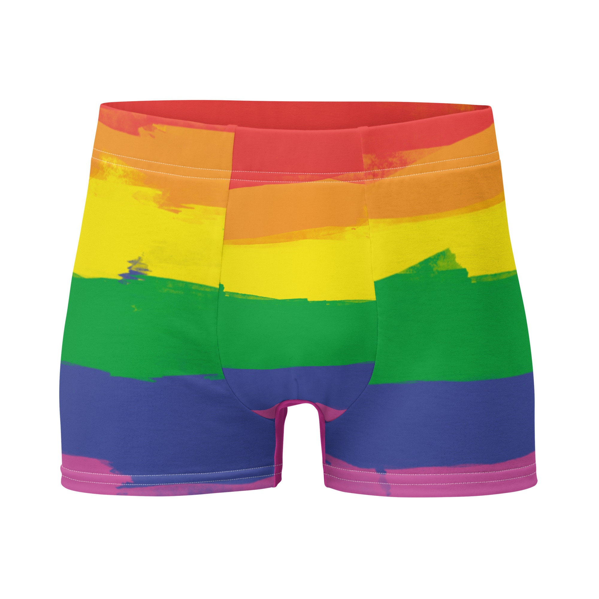 Men's Boxer Briefs, Rainbow Boxer Briefs, LGBTQI Underwear, Colorful ...