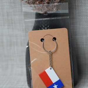 Texas Flag Keychain | 3D Printed Keychain | Simple Design | Minimalist ...