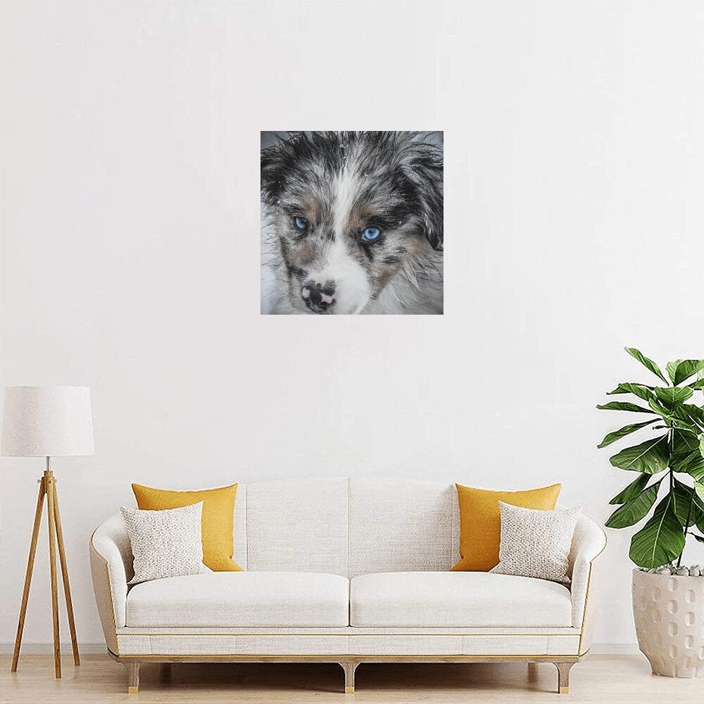 Australian Shepherd Puppy Dog Wall Art Wall Hanging Canvas Print 16x16 ...