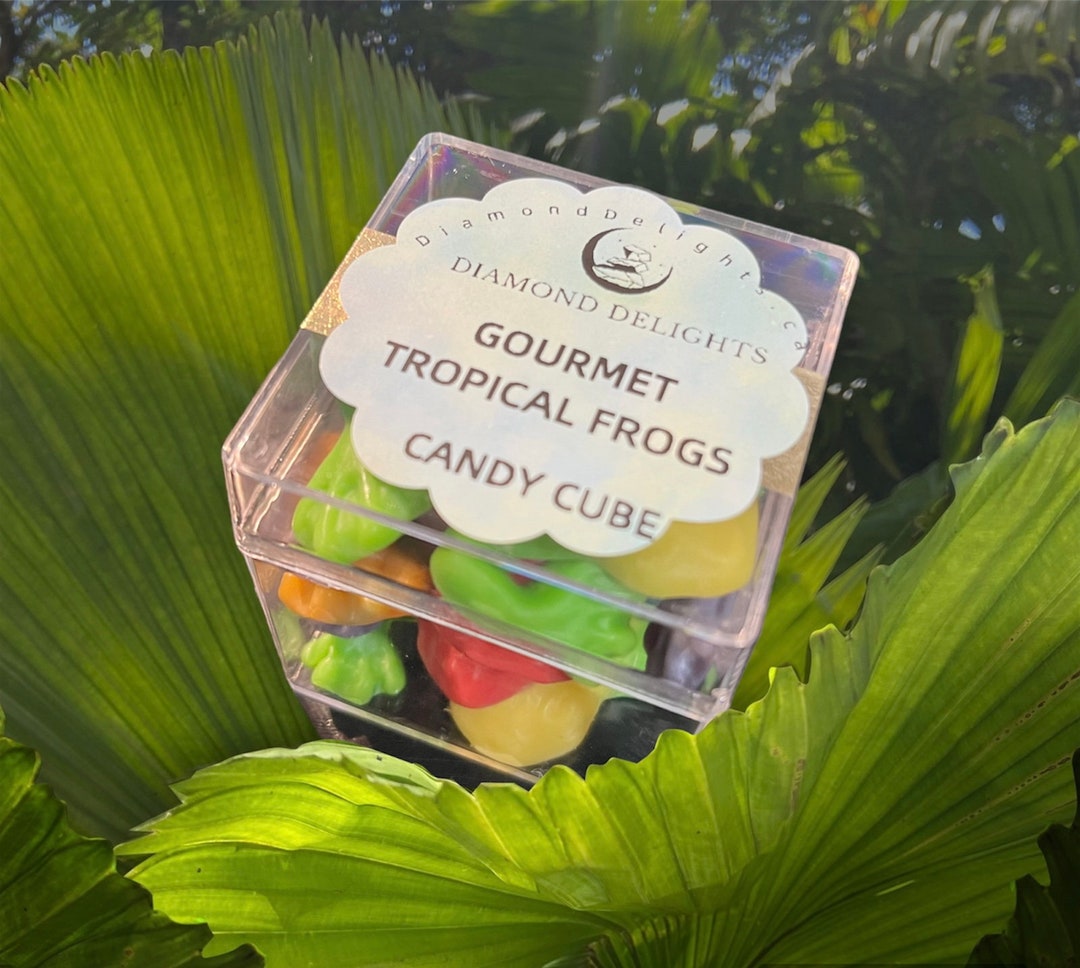 Tropical Frogs Gourmet Gummy Cube Candy Bag. Treats Tiktok - Etsy