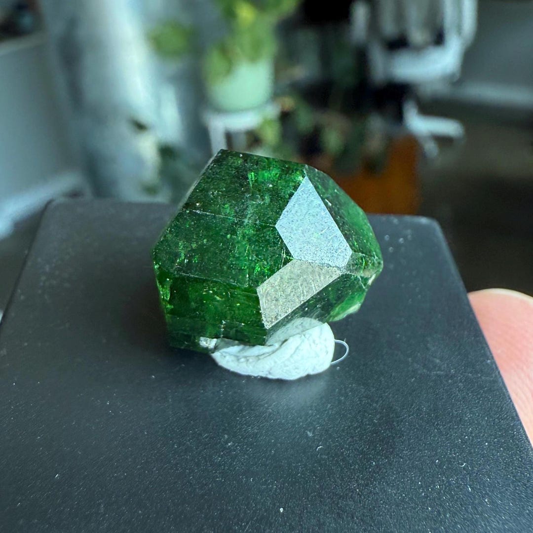 Chrome Tourmaline (dravite) #2 - Lelatema Mountains, Manyara Region ...