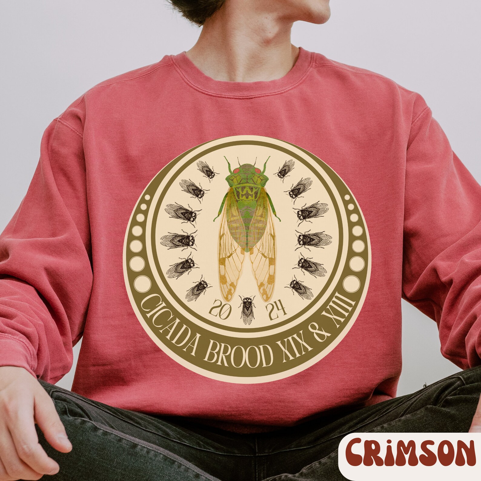 2024 Cicadas Sweatshirt Dark Academia Comfort Colors Year of the Cicada ...