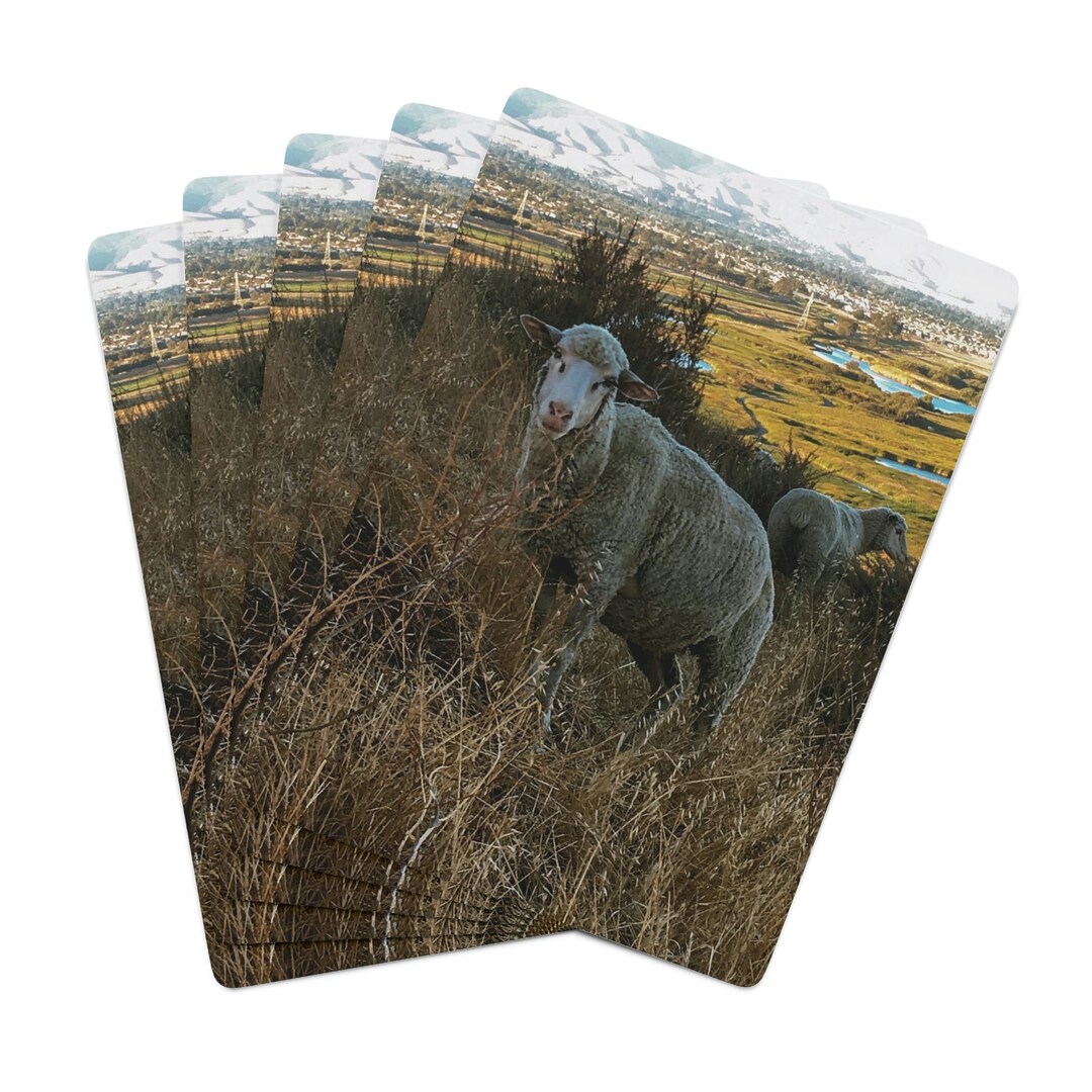 Grazing Sheep Playing Cards Farm Animal Card Deck Photography Cards - Etsy
