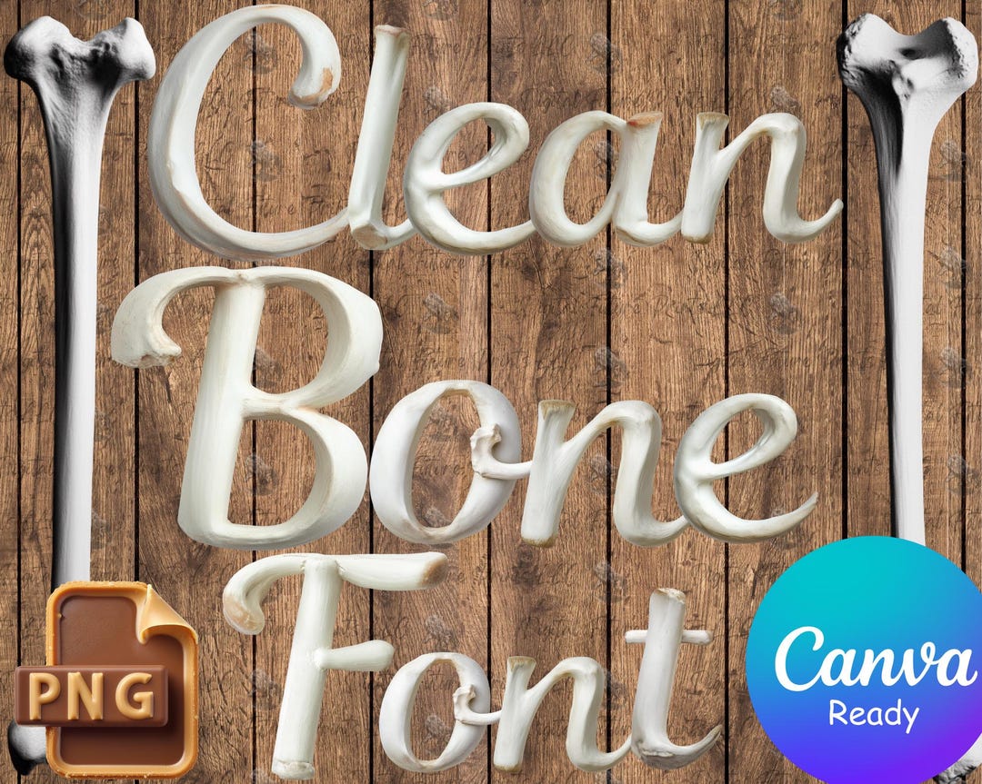 Bone Font 3D Letters PNG Skeleton Bones Font Spooky Bone Letters Bone ...