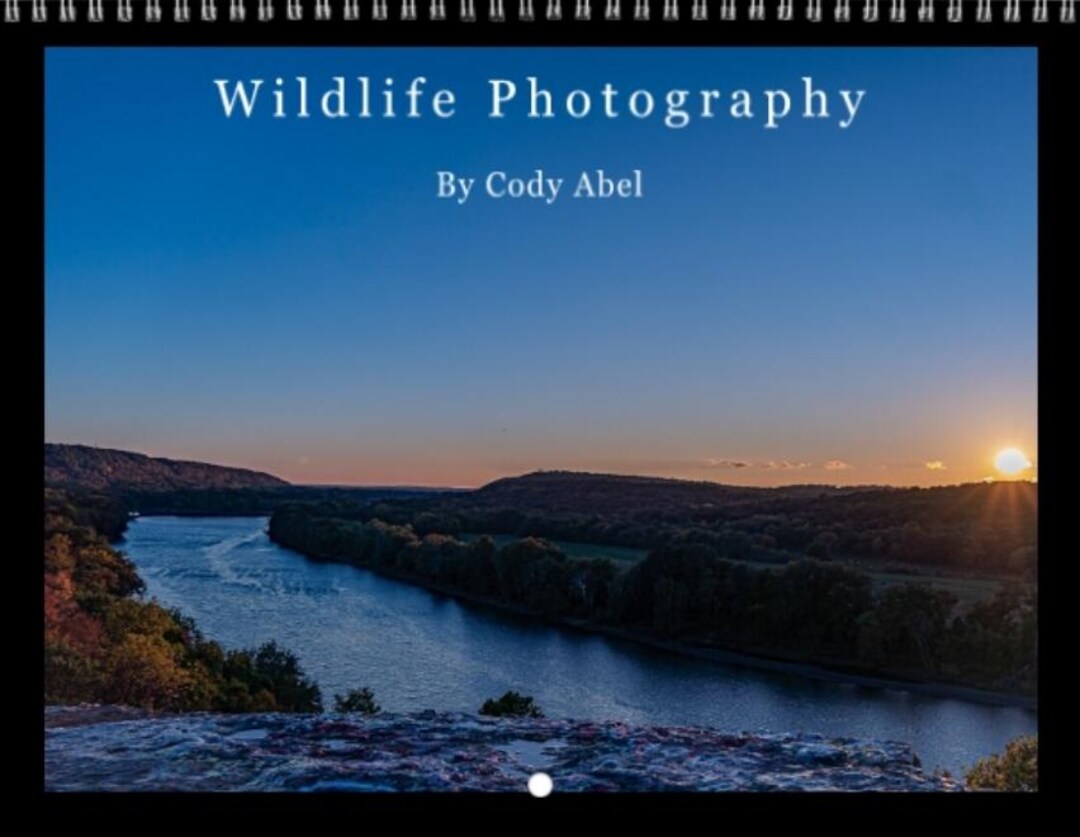 2025 Nature/wildlife Photography Calendar - Etsy