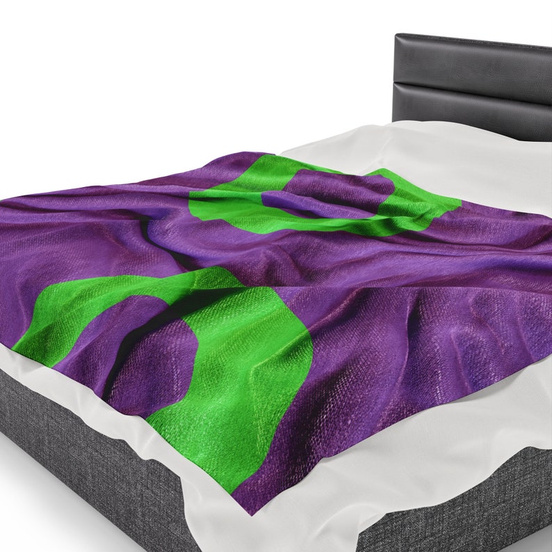 Phish Fishman Purple/green Donut Pattern Velveteen Plush Blanket - Wrap ...