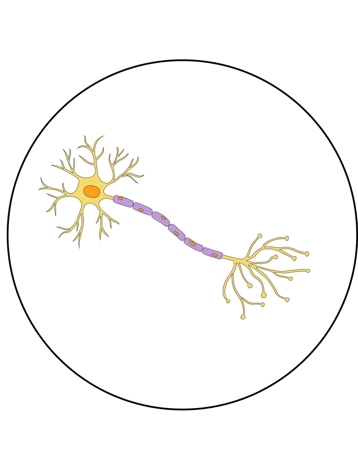 Axon Hand Embroidery Pattern - Etsy