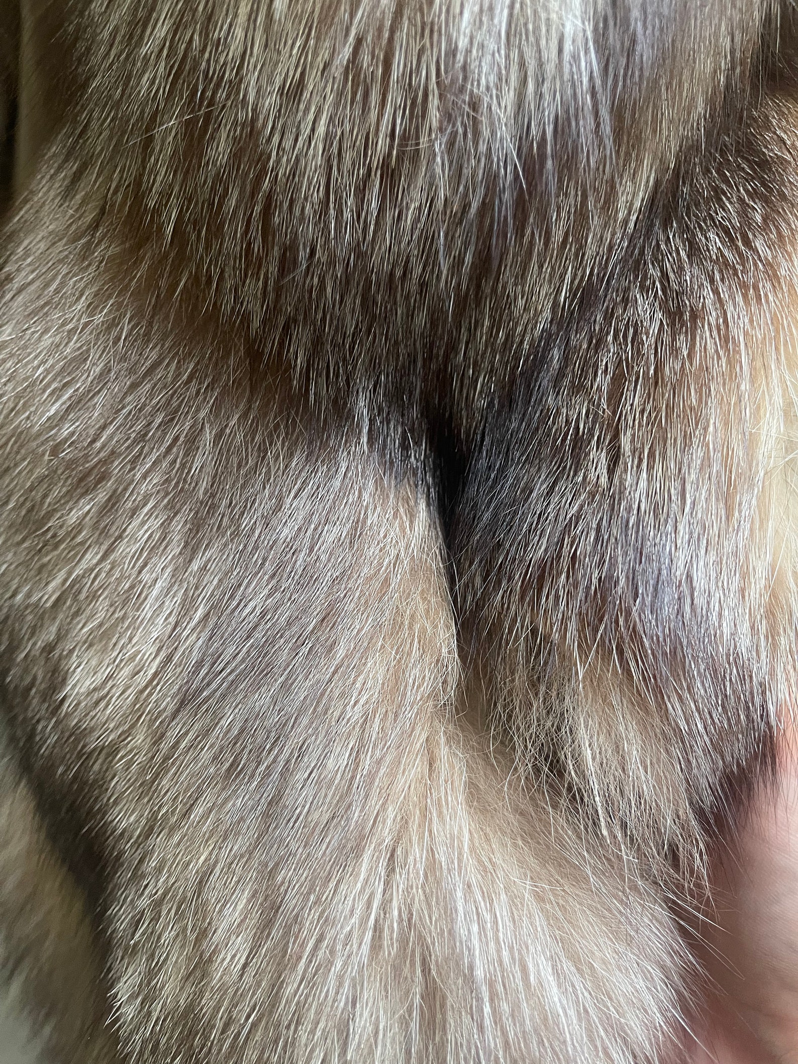 CRYSTAL FOX FUR Coat - Etsy