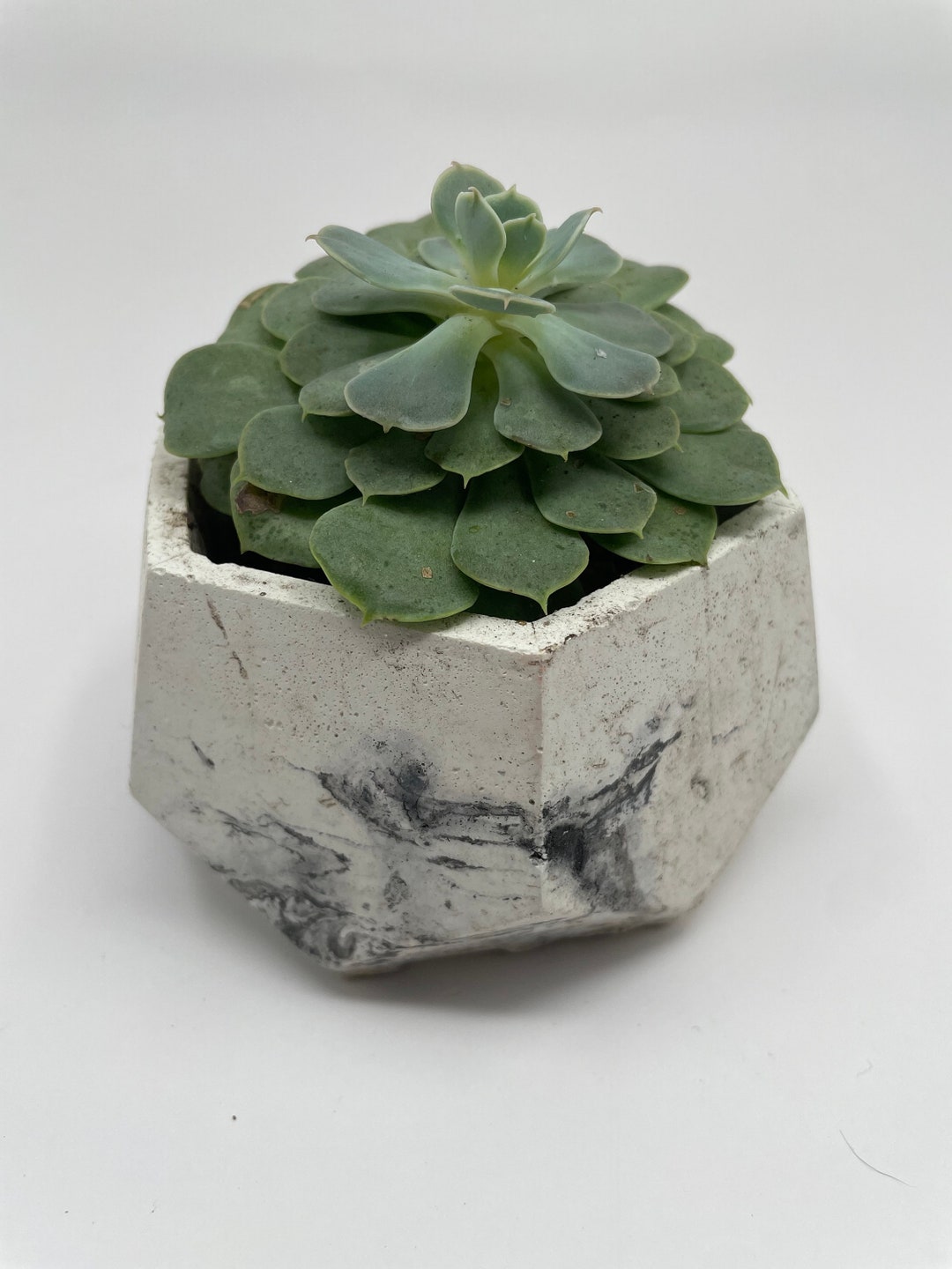 Hexagon Concrete Planter Home Decor Hexagon Pots Pot With Drainage ...