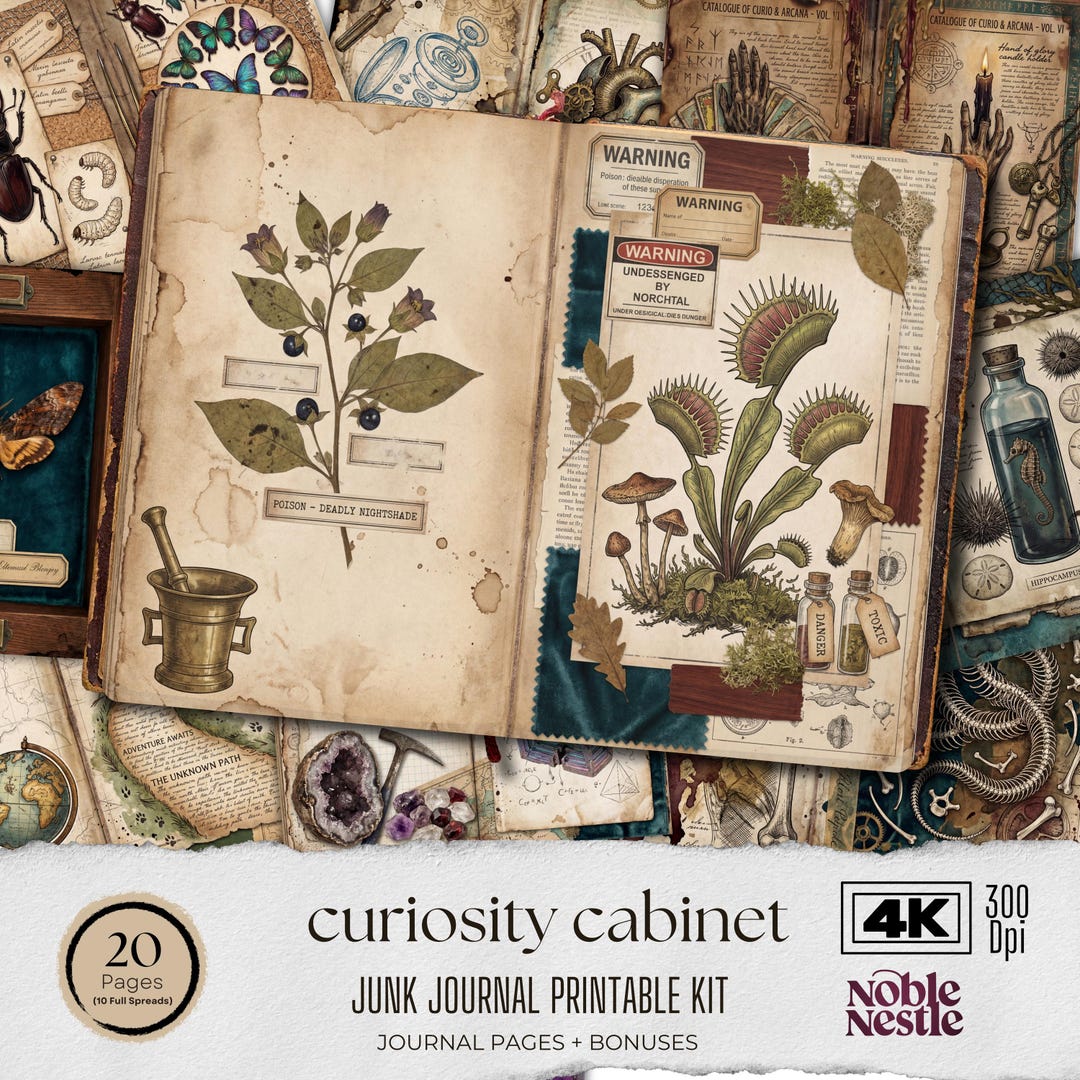 Curiosity Cabinet Junk Journal Digital Paper Pack | 4K Backgrounds Junk ...