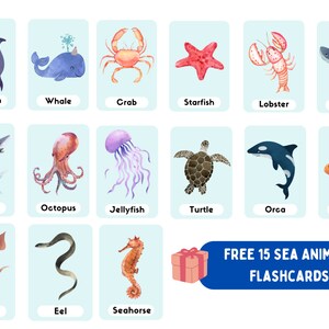 Sea Animals Themed Activities Ocean Busy Book Free Sea Animals ...